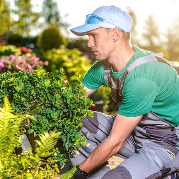 Griffin Solutions - Industrial and Commercial Cleaning Services